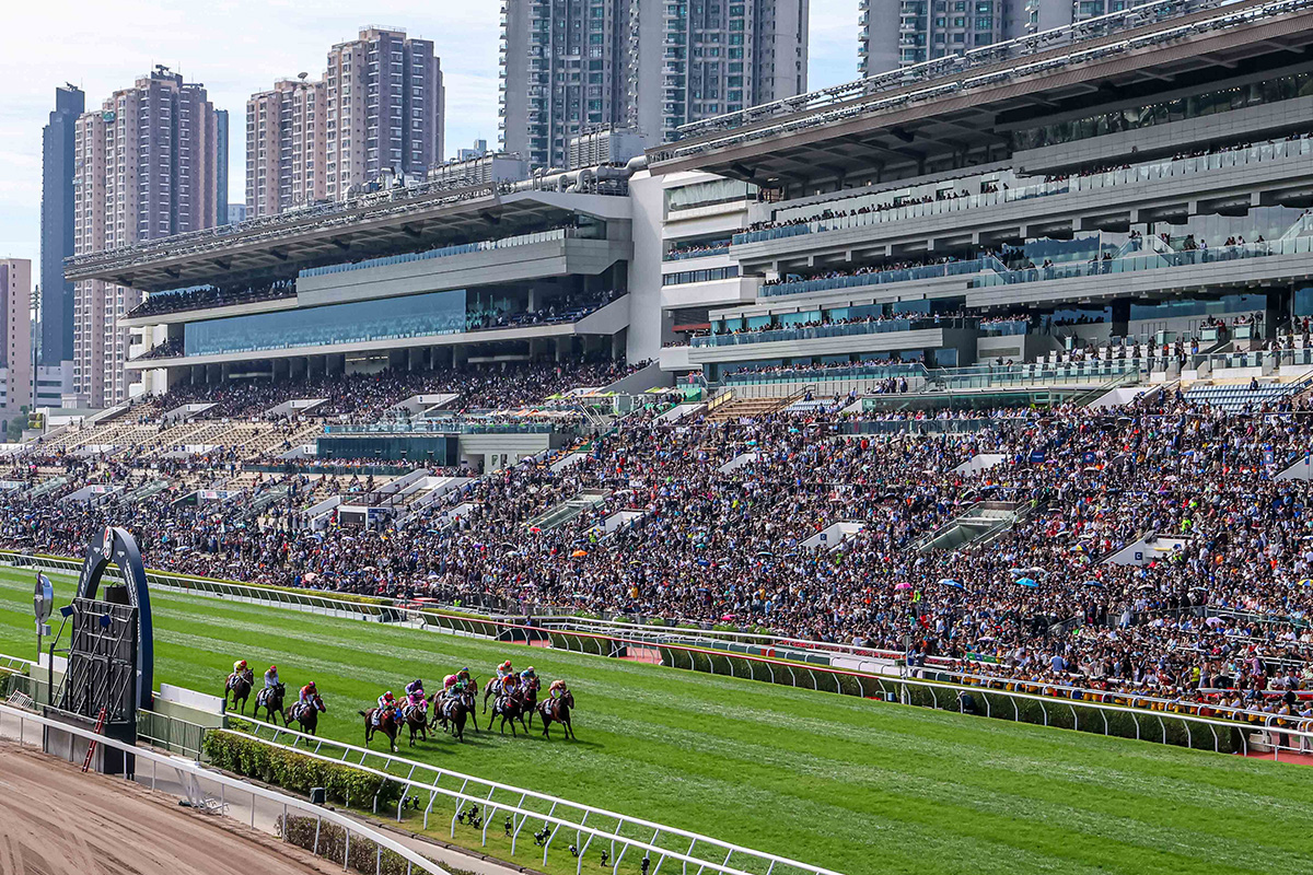 Sha Tin Racecourse - Racecourse Experience - The Hong Kong Jockey Club